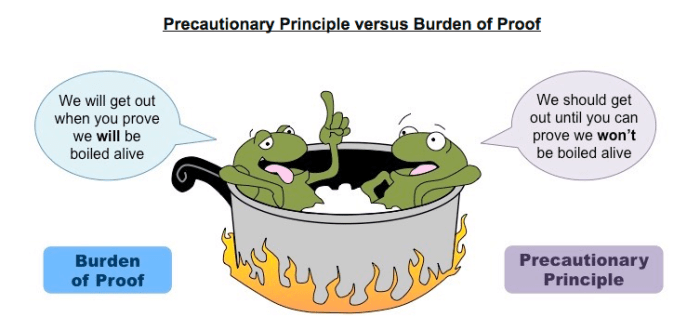 The Precautionary Principle – Dispatches from The Chemical Edge